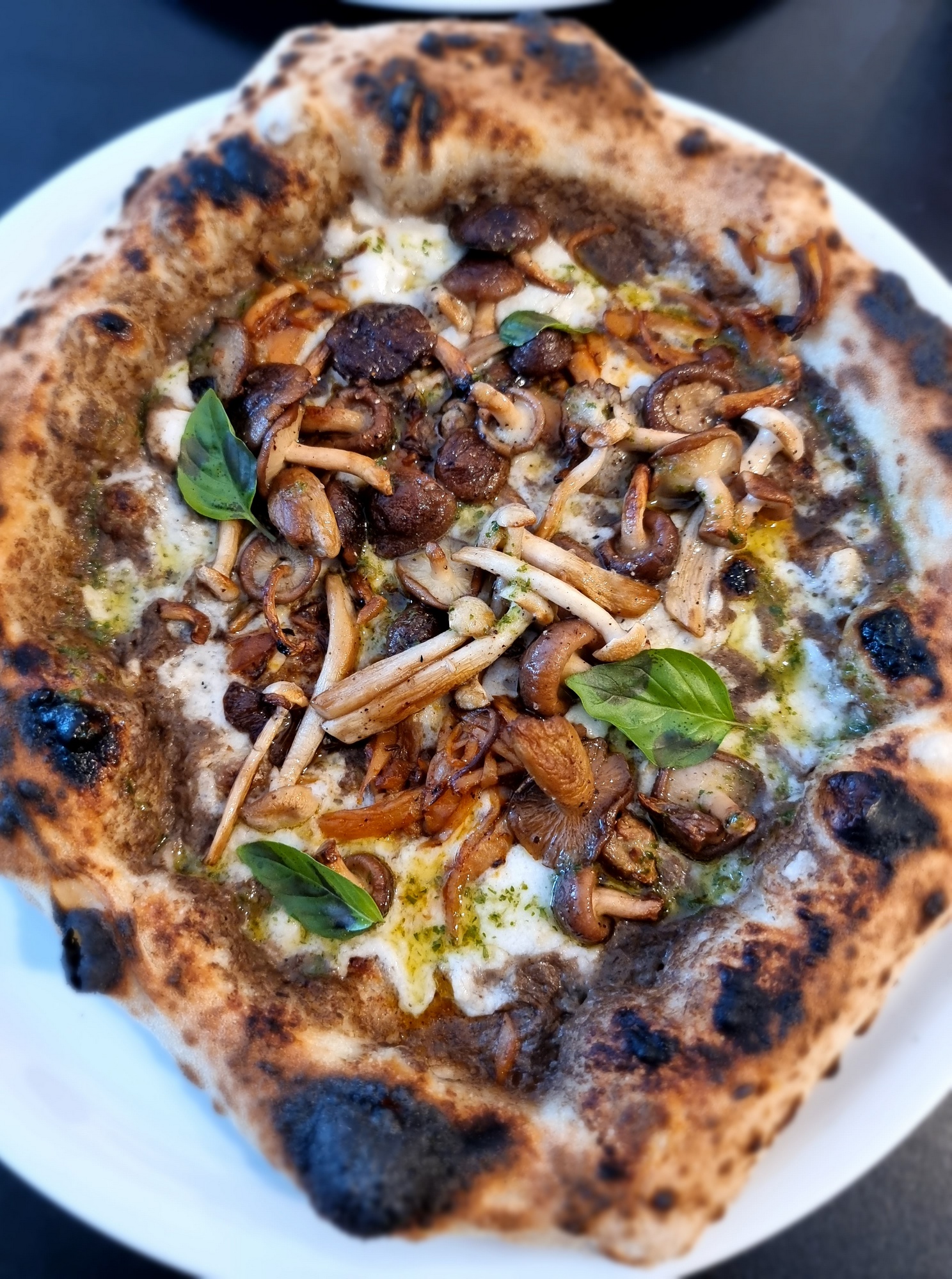 #427 Vegan pizzeria! Plant a Pizza, Gent | The Bruges Vegan